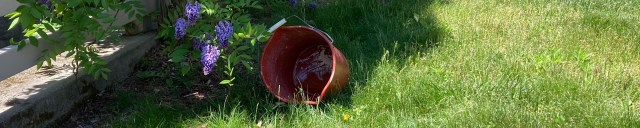 My Non-Bucket List | The Awkward Pose